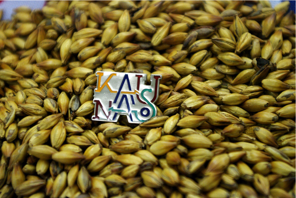 Pristatytas Kauno miesto prekės ženklas | Ekspertai.eu